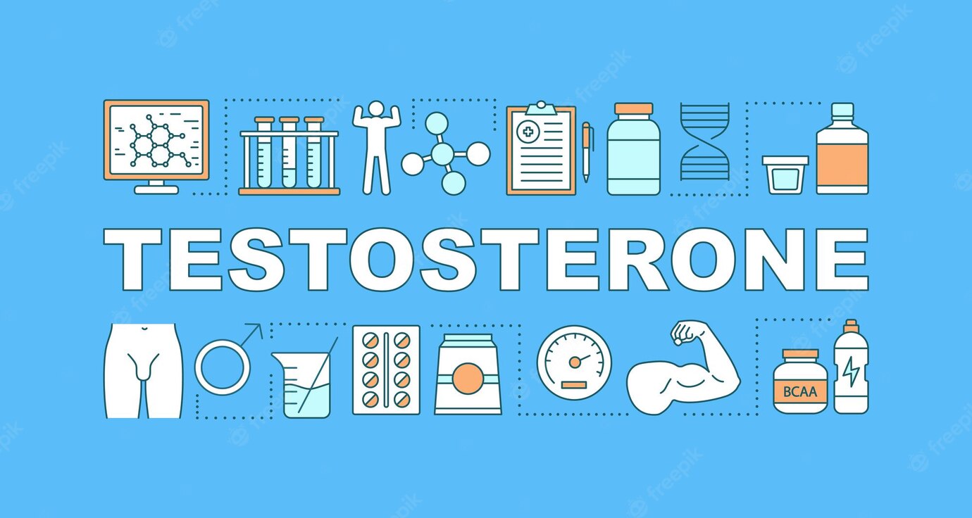 6 Natural Ways to Increase Your Testosterone - VMax Fitness